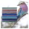 Pure Merino Hand Paint Colourways - ColourSpun